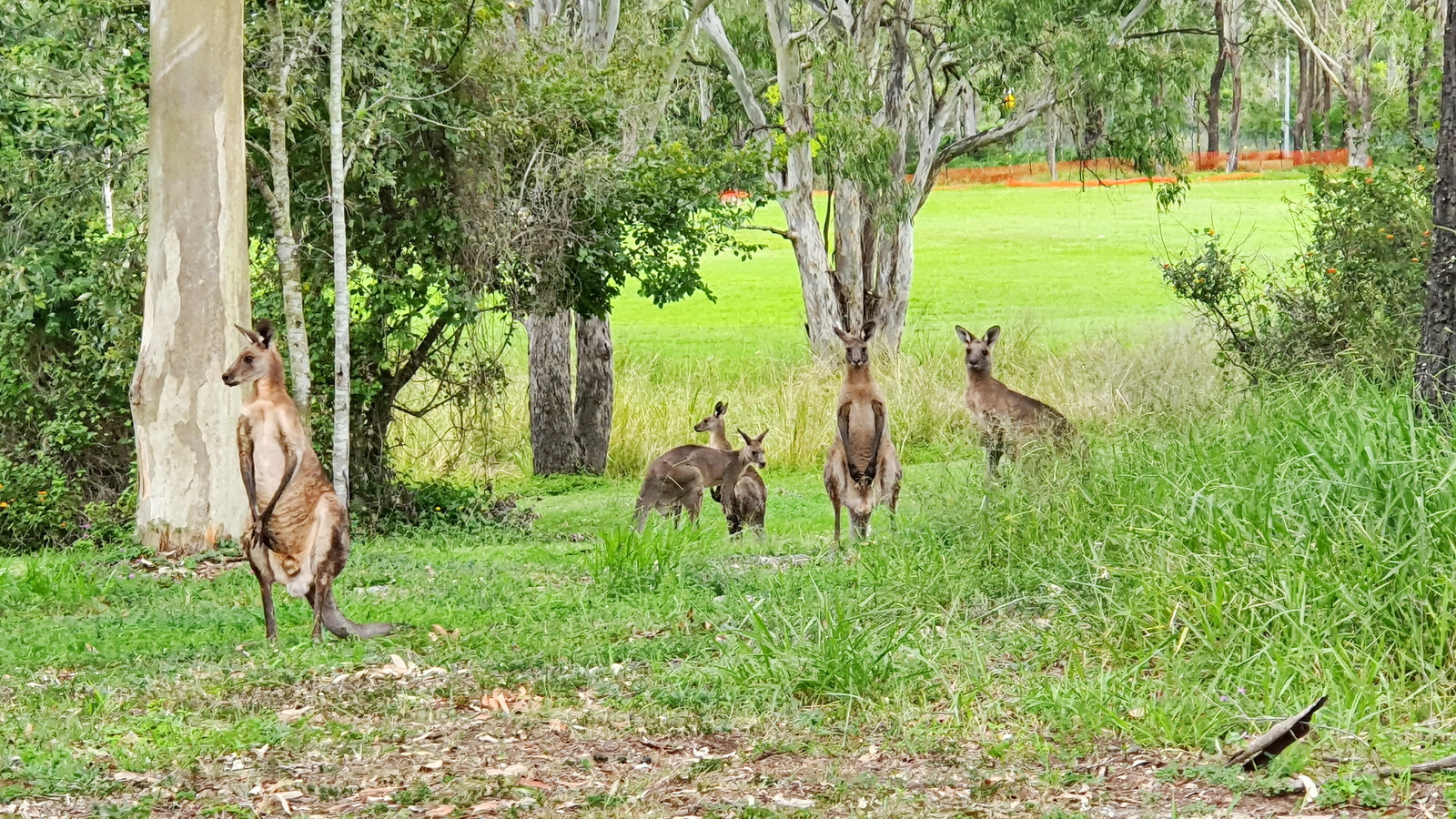 Last remaining hut of the military barracks at Camp Columbia - Camp ...